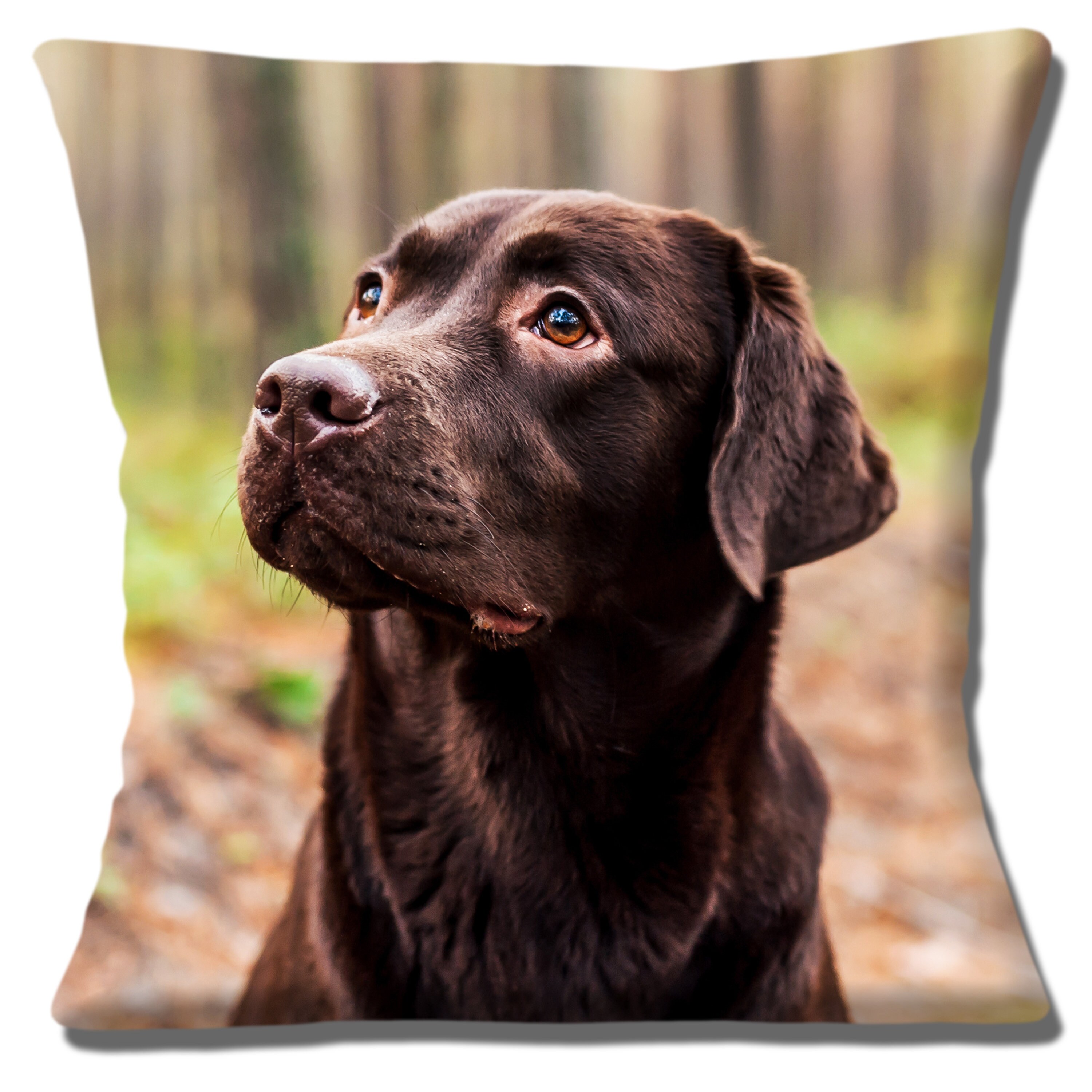 Chocolate Labrador Cushion Cover Choc Lab Adult Dog 16 inch 40 | Etsy