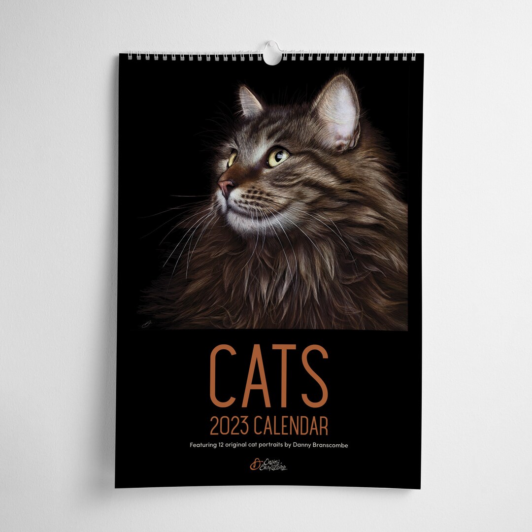 Cat Calendar 2023 - Etsy UK