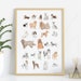 Dog Alphabet Poster // PRINTABLE // Dog Wall Art // Instant | Etsy
