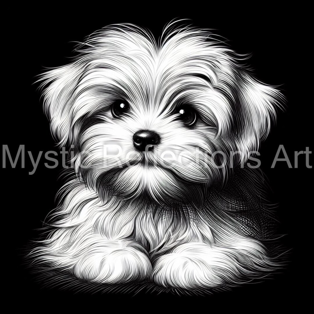 Maltese Puppy Slate Coaster File: Laser Engraving PNG (digital Download ...