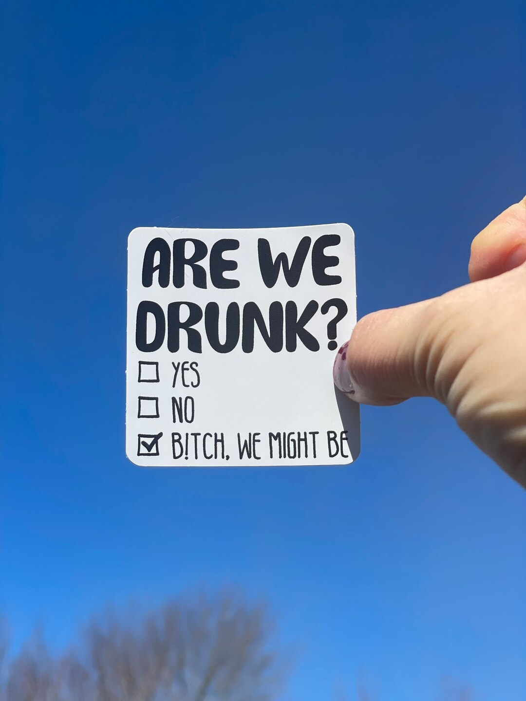 Are We Drunk Sticker, Are We Drunk, Girls Night, Bachelorette Sticker ...