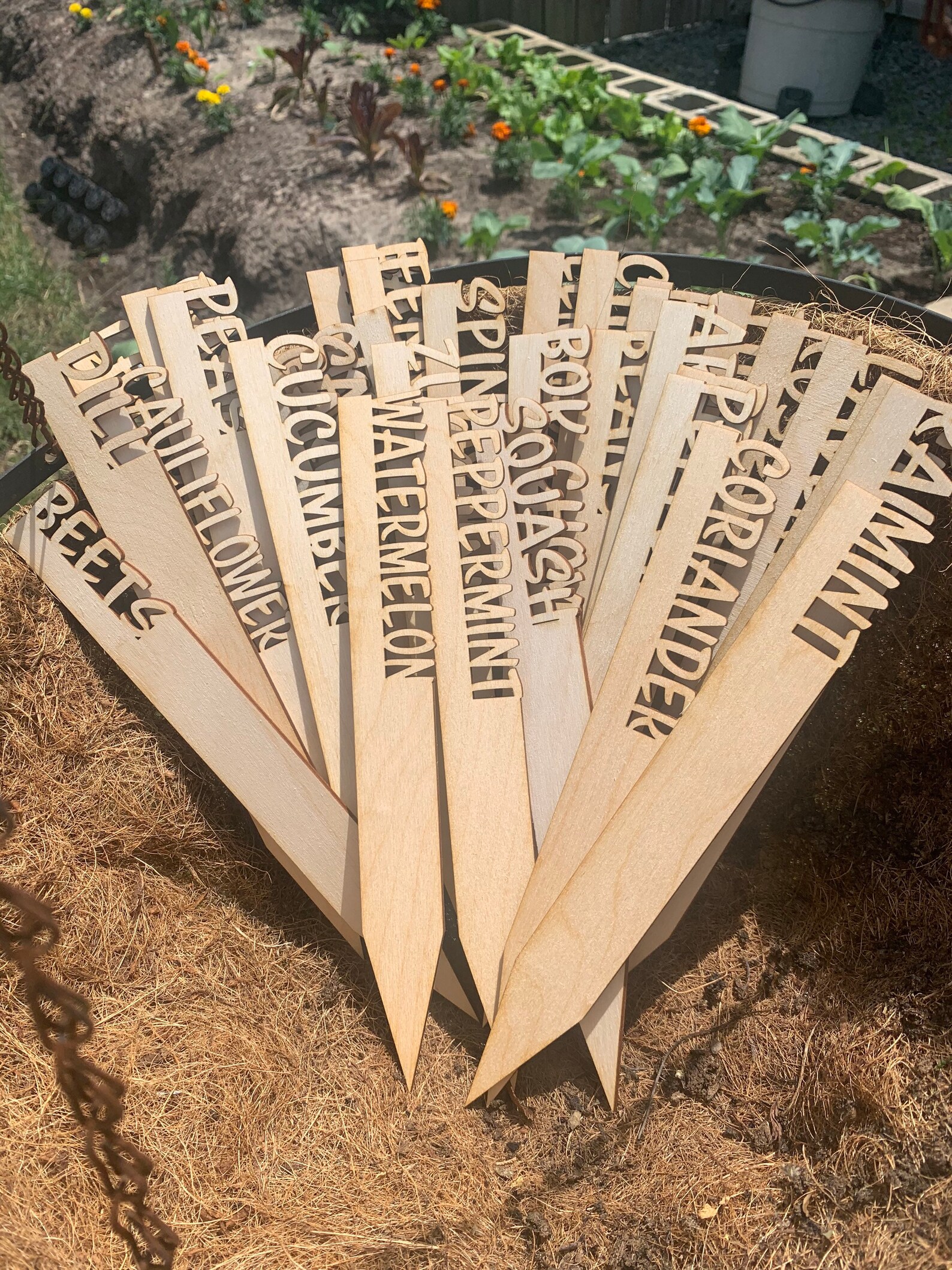 Laser Cut File Spring Garden Digital File Vegetable Herbs - Etsy