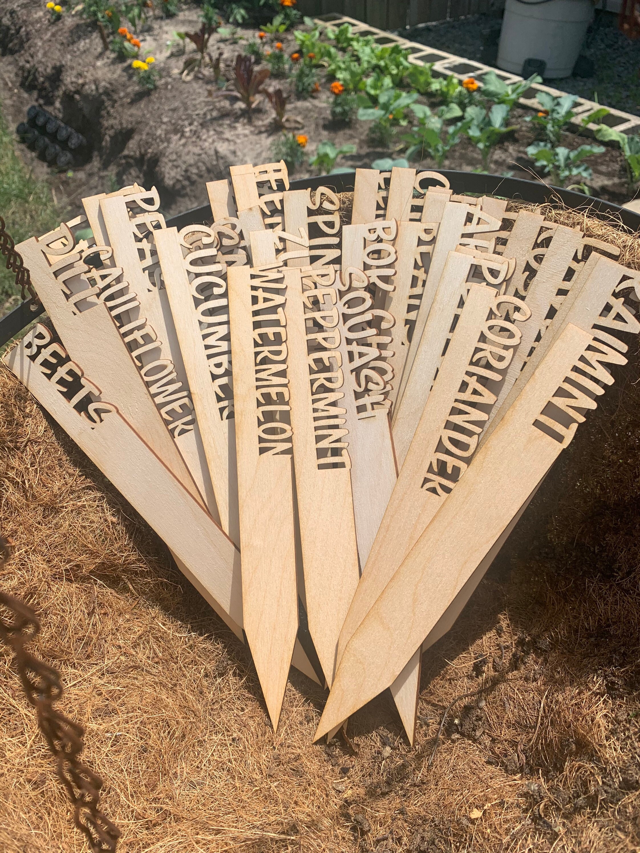 Laser Cut File Spring Garden Digital File Vegetable Herbs - Etsy