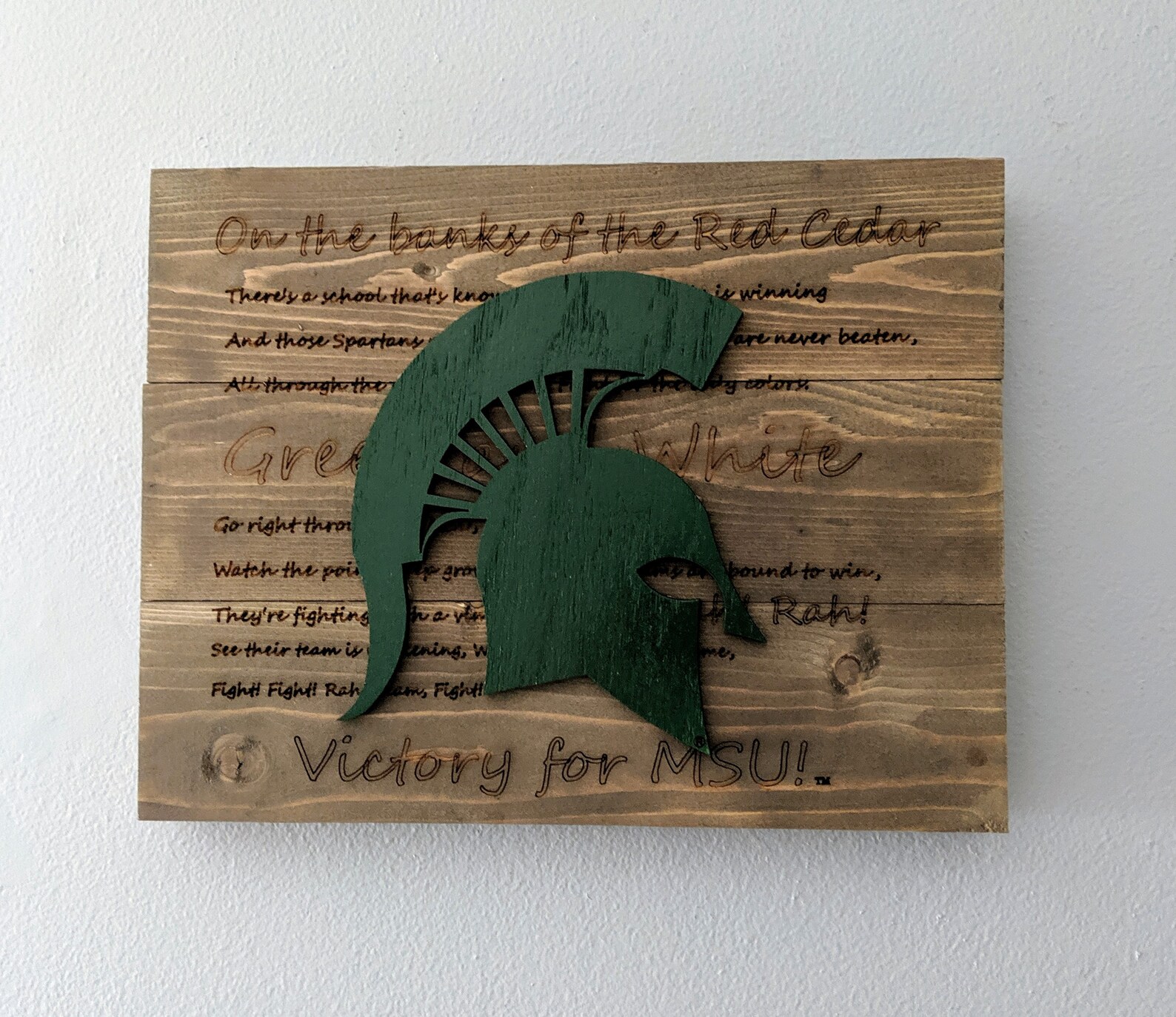 Michigan State University MSU Fight Song Wall Hanging - Etsy