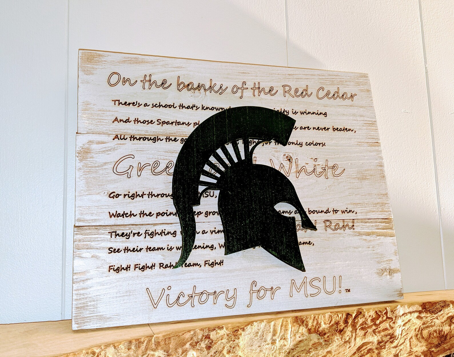 Michigan State University MSU Fight Song Wall Hanging - Etsy