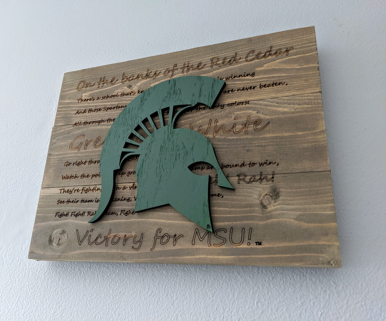 Michigan State University MSU Fight Song Wall Hanging - Etsy