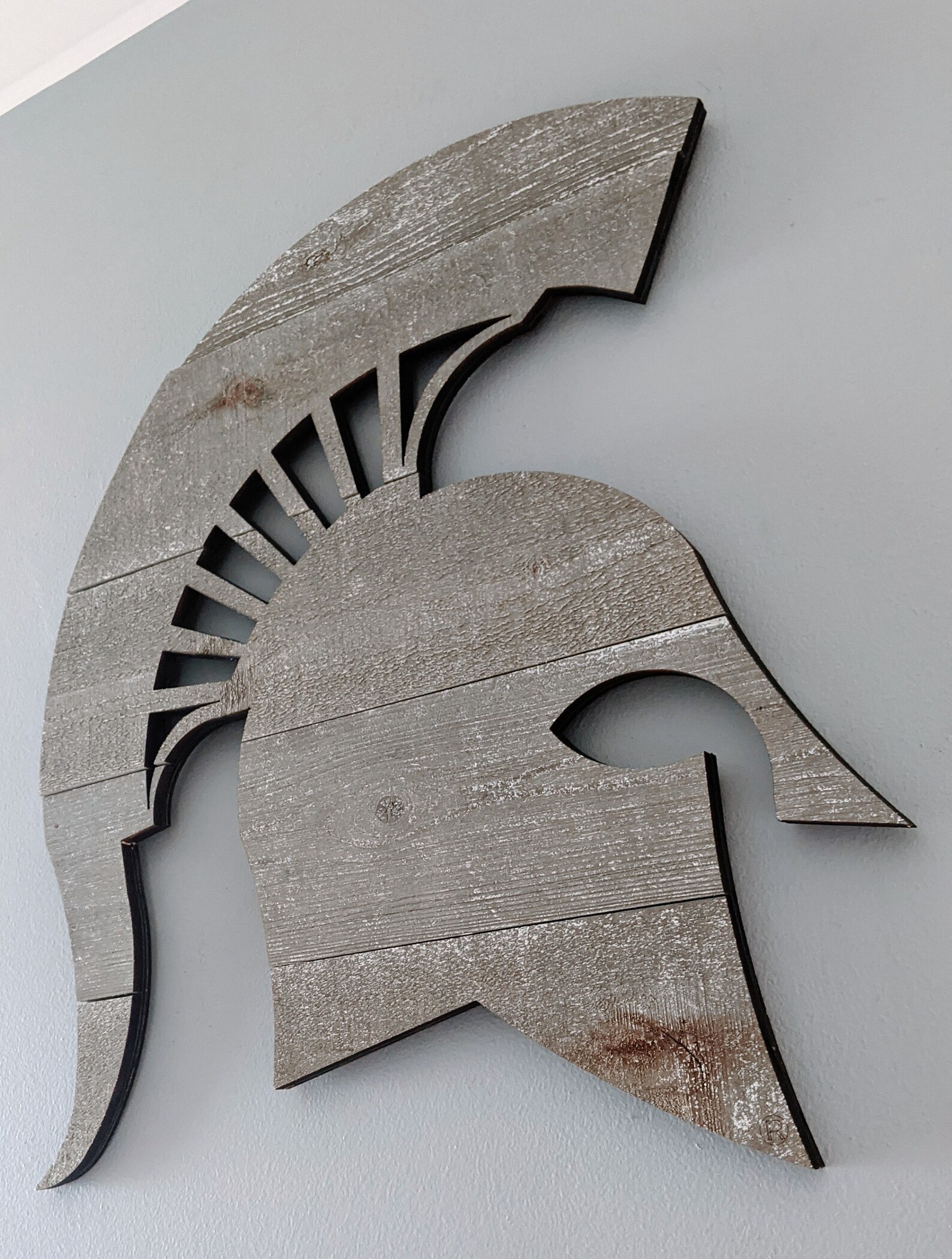 Michigan State University Spartan Head Wall Hanging Officially - Etsy