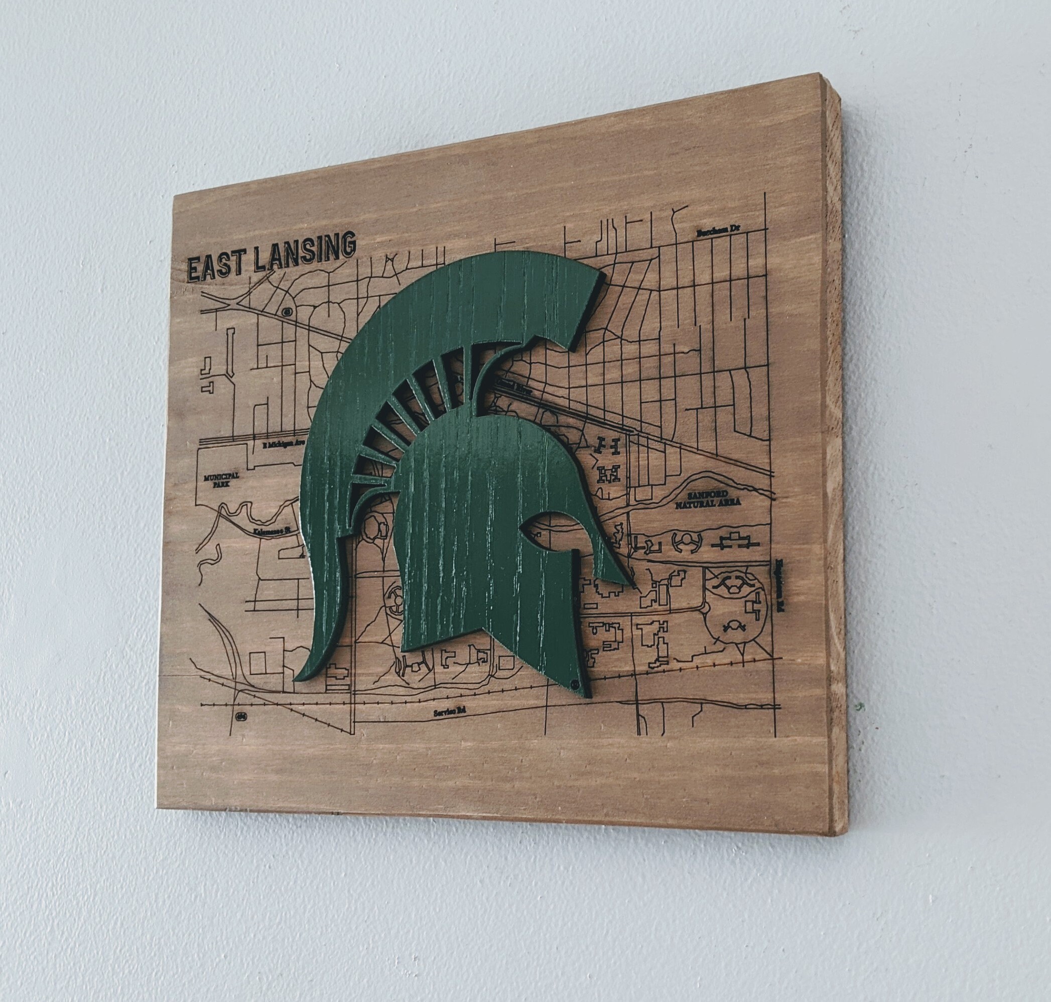 Michigan State University MSU Spartans Engraved Wall Hanging Map ...