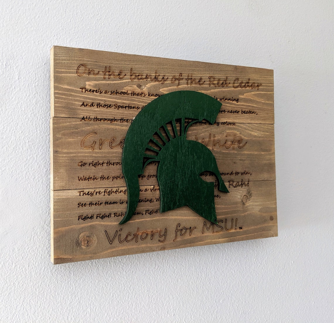 Michigan State University MSU Fight Song Wall Hanging - Etsy