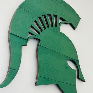 Michigan State University Spartan Head Wall Hanging Officially Licensed ...