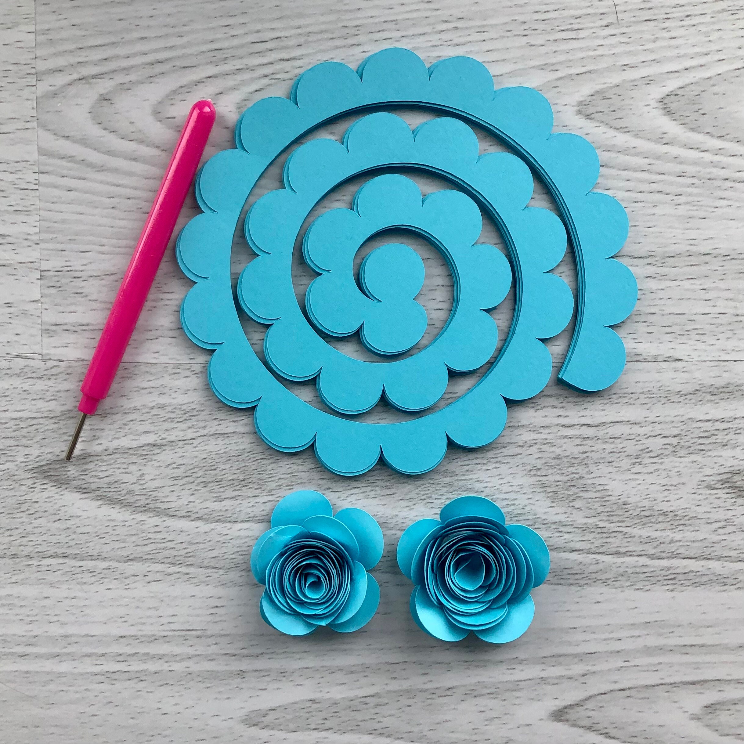 DIY Paper Flower Kit 5x7 Shadowbox Frame Included Unrolled Paper ...