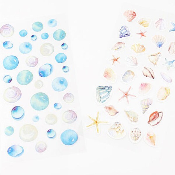 Seashell Collection - Etsy