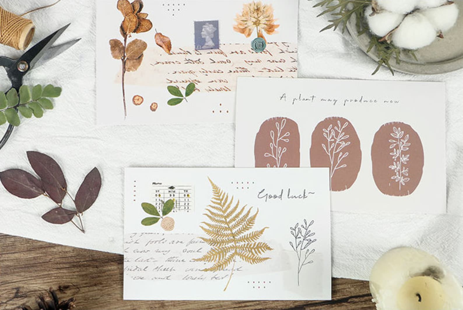 Green Plants Postcard Collection 18pc Greenhouse Post - Etsy