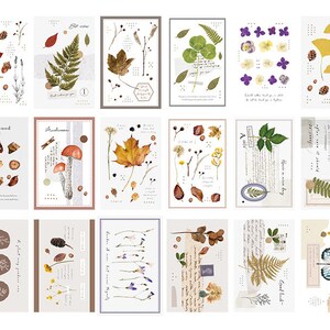 Green Plants Postcard Collection 18pc Greenhouse Post - Etsy