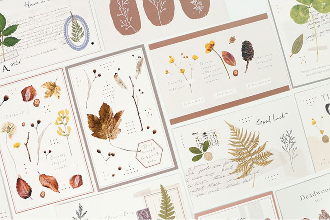 Green Plants Postcard Collection 18pc Greenhouse Post | Etsy