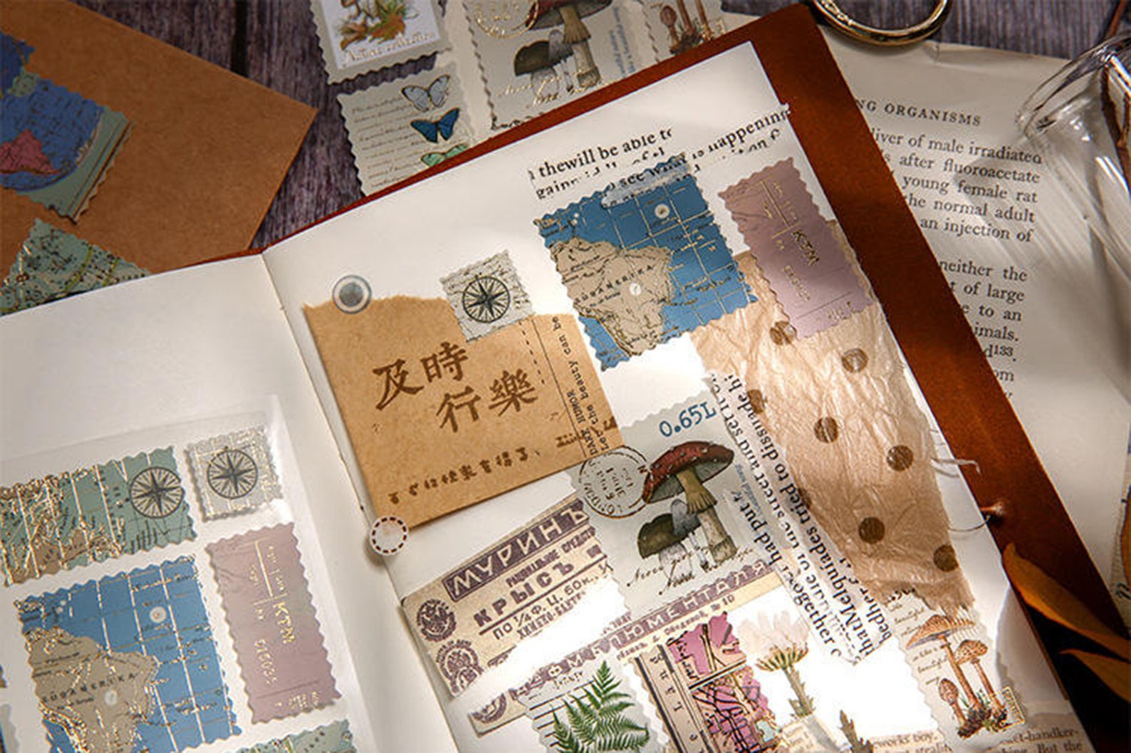 Vintage Memories Stickers Pack Plants Sticker Little | Etsy