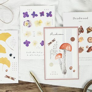 Green Plants Postcard Collection 18pc Greenhouse Post - Etsy