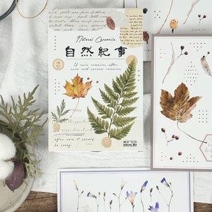 Green Plants Postcard Collection 18pc Greenhouse Post - Etsy