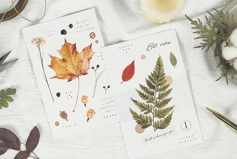 Green Plants Postcard Collection 18pc Greenhouse Post - Etsy