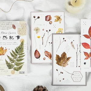 Green Plants Postcard Collection 18pc Greenhouse Post - Etsy