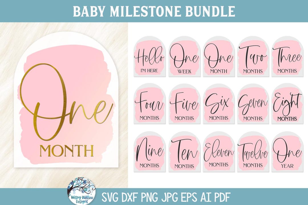Baby Milestone SVG Bundle for Cricut, New Baby Monthly Boho Arch, Baby ...