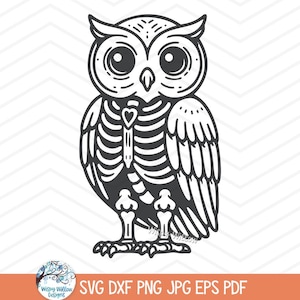 Owl Skeleton SVG for Cricut, Woodland Bird Forest Animal Skeleton Bones ...