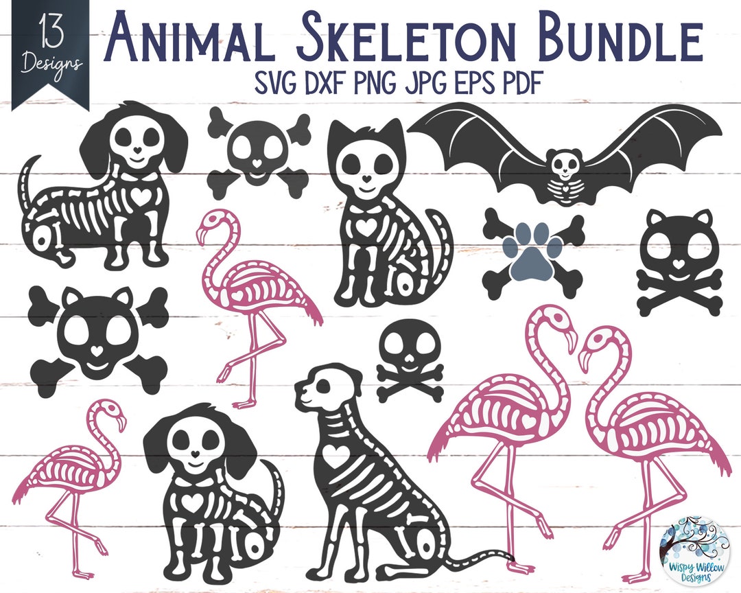 Animal Skeleton SVG Bundle, Halloween Skeleton Svgs, Dog Skeleton, Cat ...