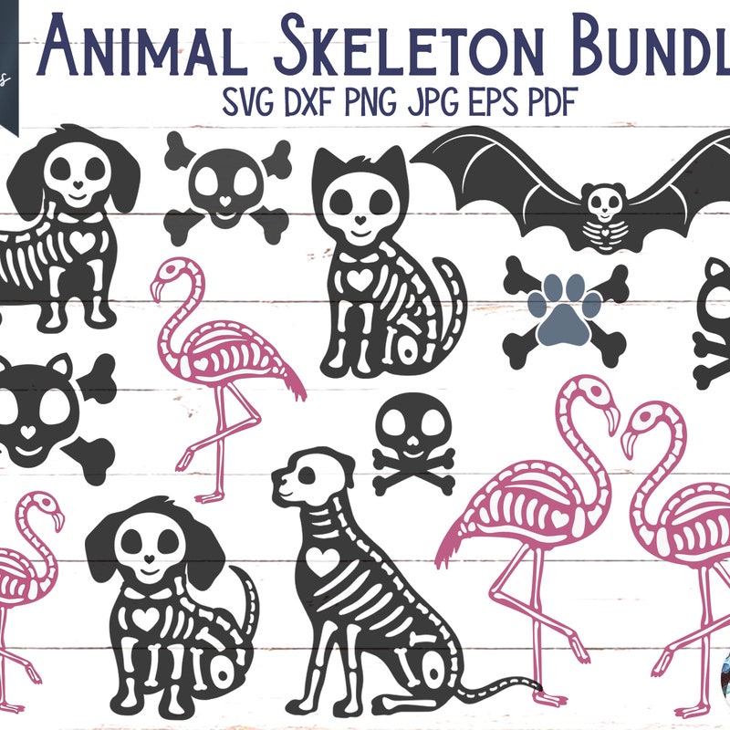 Skeleton Svg - Etsy
