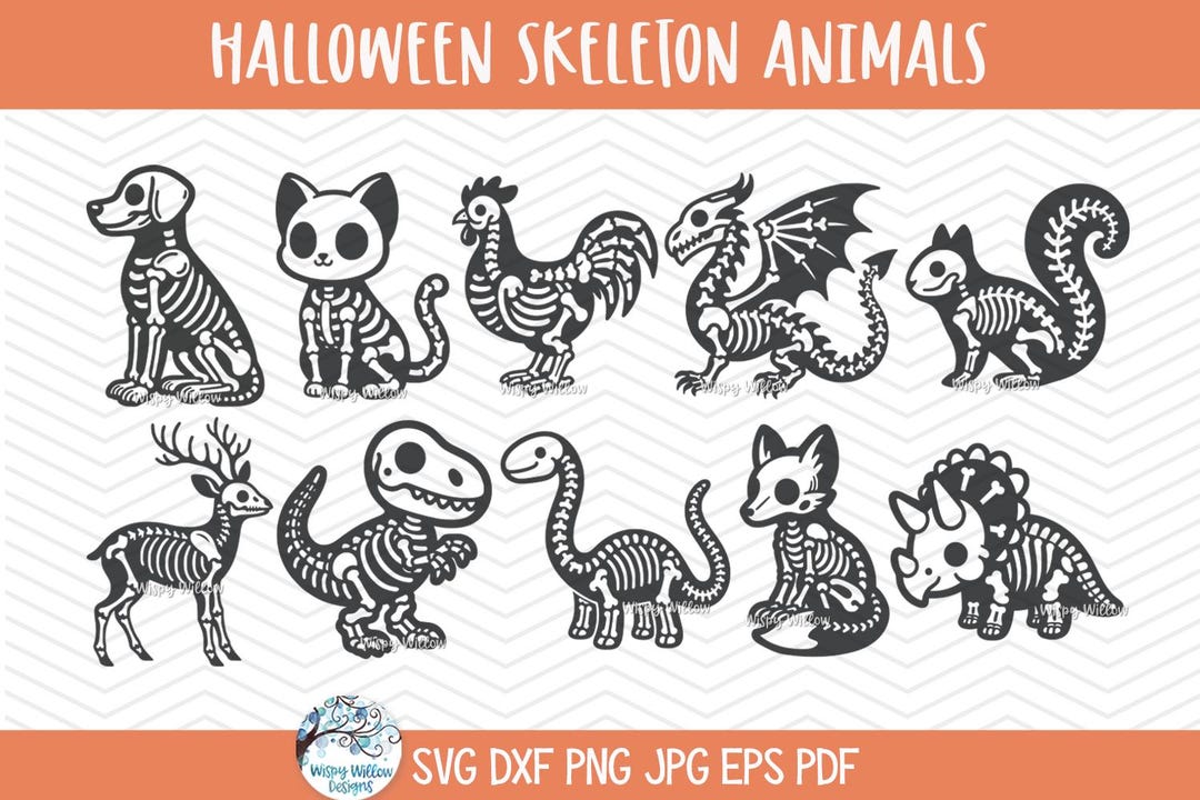 Animal Skeleton SVG Bundle for Cricut, Dog, Cat, Rooster Chicken ...