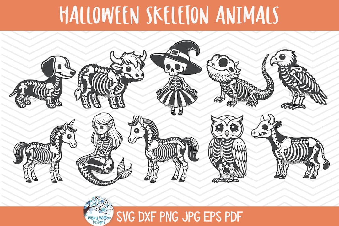 Animal Skeleton SVG Bundle for Cricut, Witch, Dachshund Dog, Bearded ...