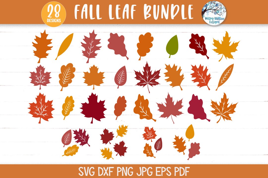 Fall Leaf SVG Bundle for Cricut, Autumn Leaves Clipart PNG, Maple Leaf ...