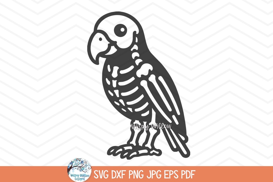 Parrot Skeleton SVG for Cricut, Animal Bird Skeleton Bones Clipart JPG ...