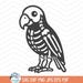Parrot Skeleton SVG for Cricut, Animal Bird Skeleton Bones Clipart JPG ...