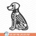 Dog Skeleton SVG for Cricut, Pet Animal Skeleton Bones Clipart JPG ...