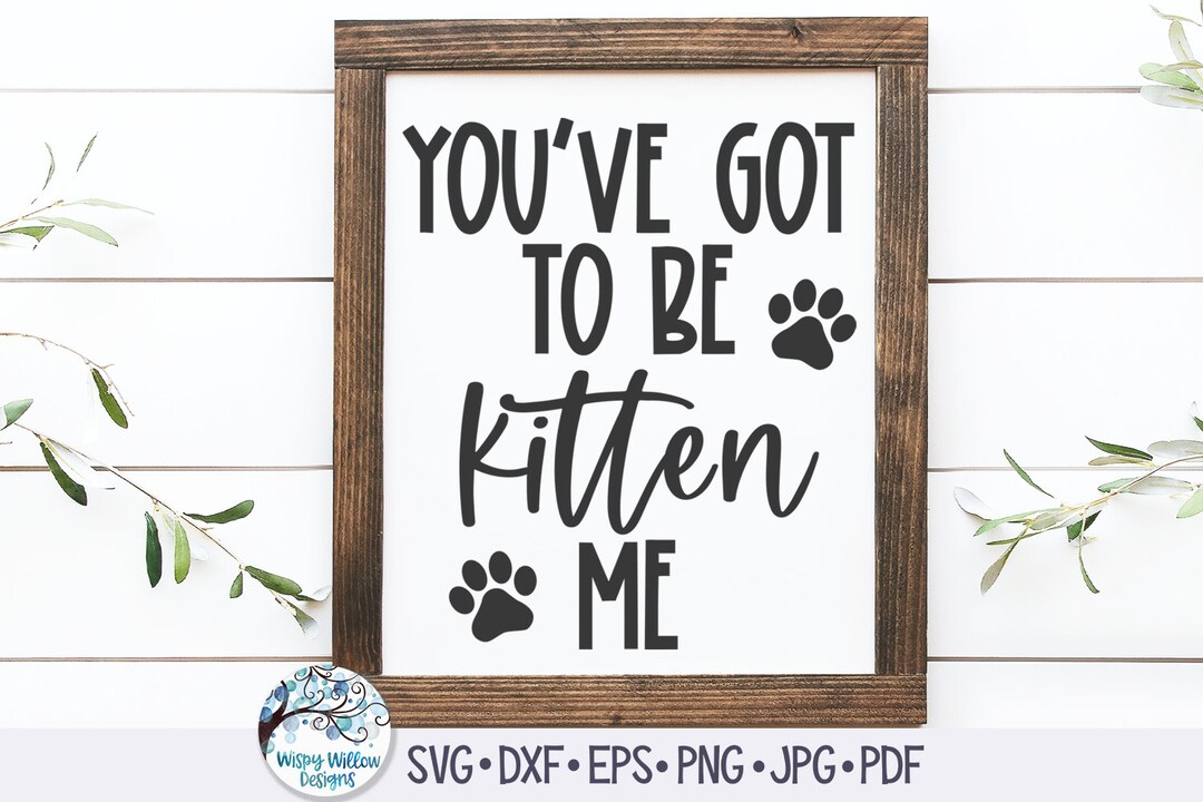Funny Cat Sign Svg, You've Got to Be Kitten Me Svg for Cricut, Cute Pet ...