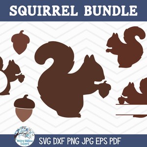 Squirrel SVG Bundle for Cricut, Squirrel Silhouette Clipart PNG, Fall ...