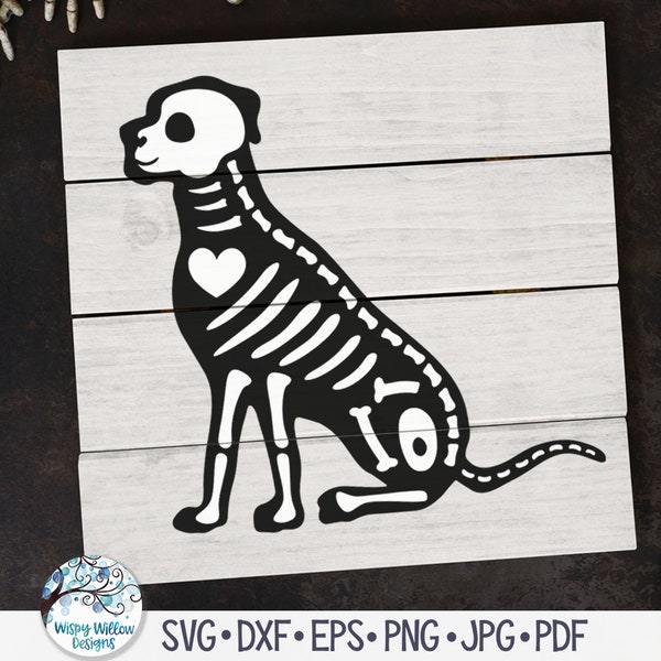 Dog Skeleton - Etsy