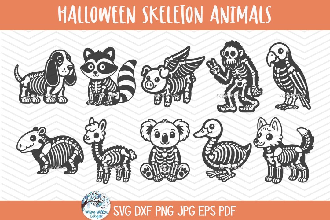 Animal Skeleton SVG Bundle for Cricut, Basset Hound Dog, Flying Pig ...