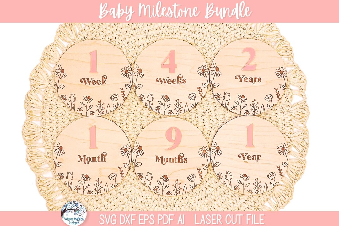 Baby Girl Milestone Disc SVG Bundle, Wildflower Newborn Sign, Week ...