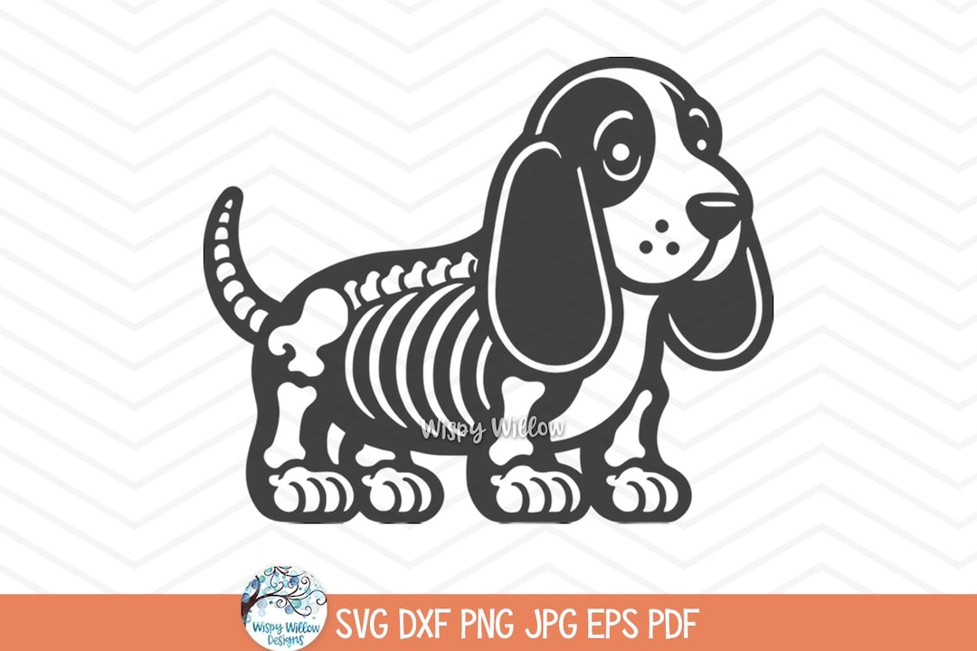 Basset Hound Dog Skeleton SVG for Cricut, Pet Dog, Animal Skeleton ...