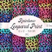 Rainbow Leopard Print Digital Papers Bundle Leopard Print | Etsy