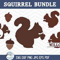 Squirrel Svg - Etsy