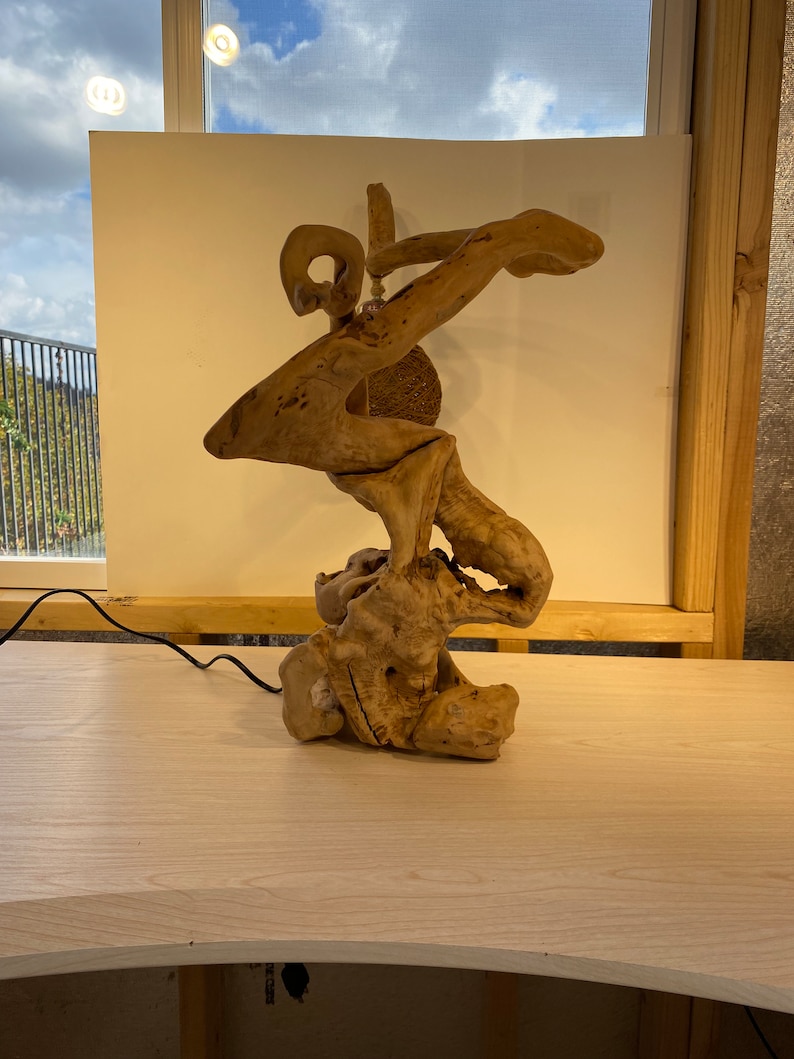 Handcrafted Natural Root Lamp, Cuckoo Wood Designer, Driftwood Table ...