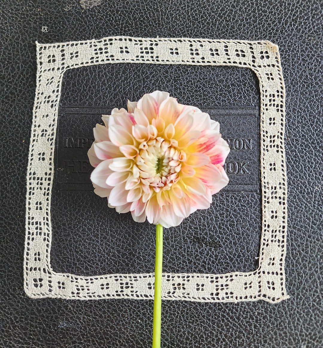 Antique Handmade Netted Filet Lace Frame - Etsy