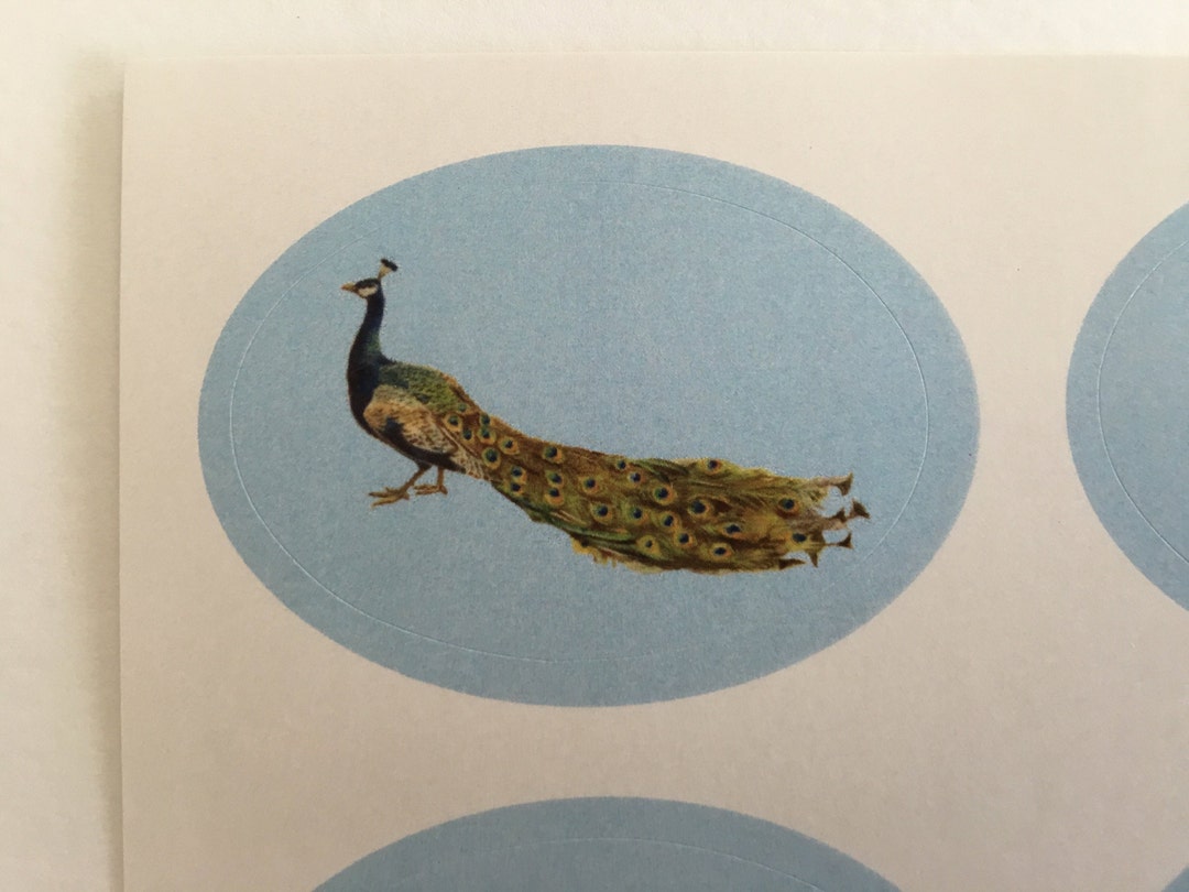 Vintage Peacock Stickers, Birthday Stickers, Teacher Stickers, Diary ...