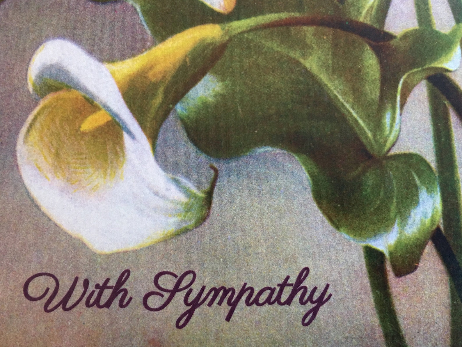 Sympathy Lili Card, Greeving Card, Card, Calla Lily Card, Condolences ...