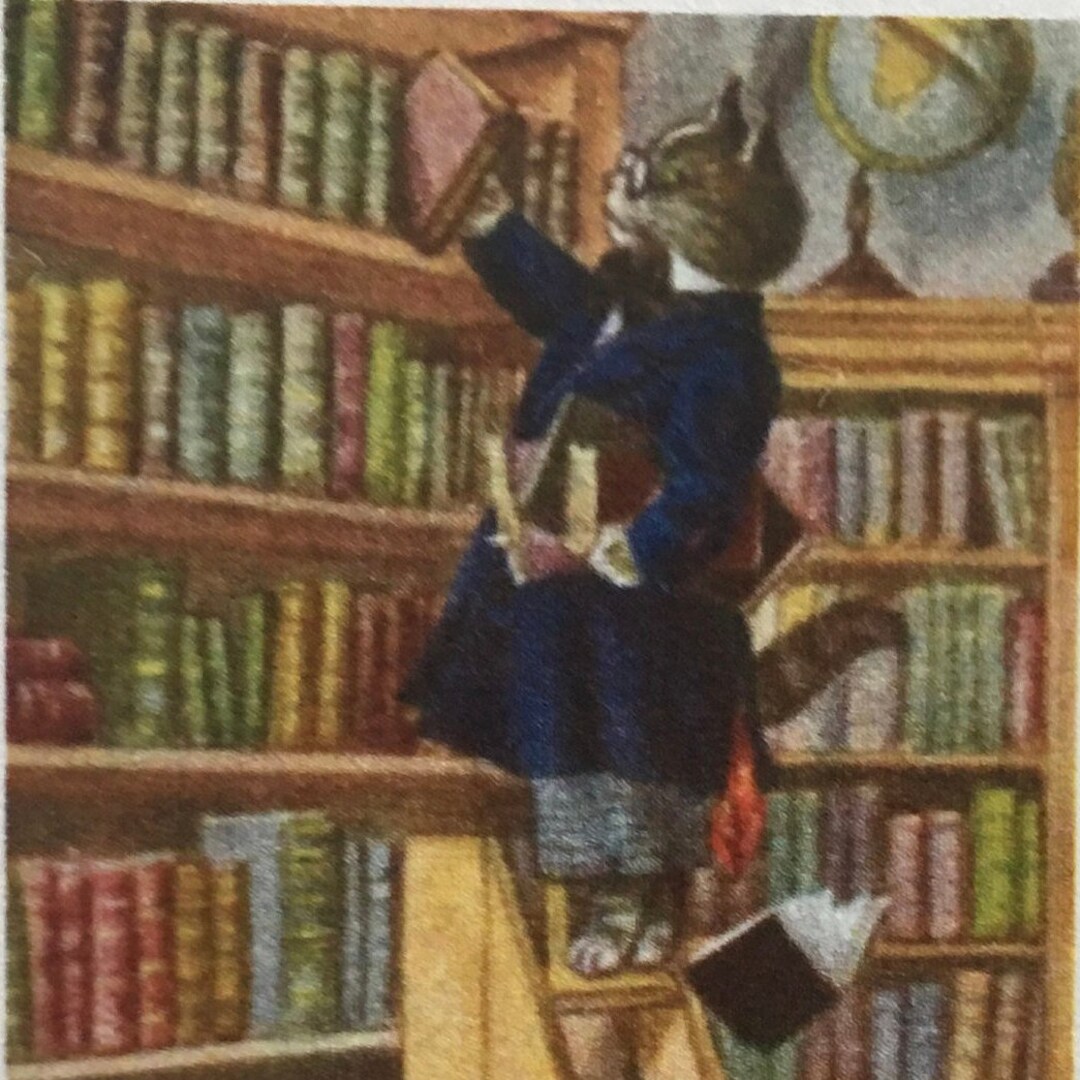 Library Cat Notepad, Bookstore Cat Memo Pad, Book Pad, Book Lover Gift ...