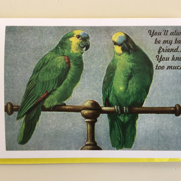 Parrot Thank You Cards - Etsy