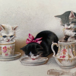 Vintage Kittens With Tea Set Cat Card Teapot Card Vintage | Etsy