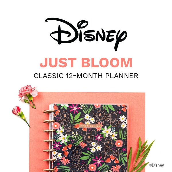 Lined Vertical Happy Planner - Etsy